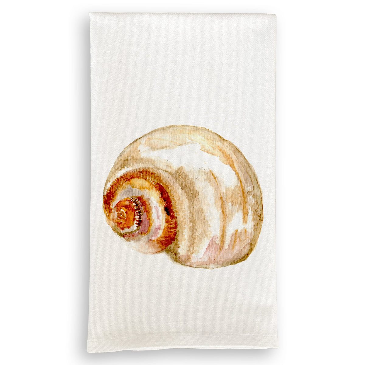 Nautilus Shell – French Graffiti